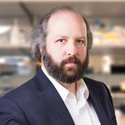 David McCandlish Publications | Cold Spring Harbor Laboratory