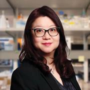 Erika Wee Profile | Cold Spring Harbor Laboratory